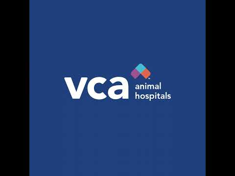 The Fascinating Career of a Veteran in the Veterinary Industry: Jose Limon
