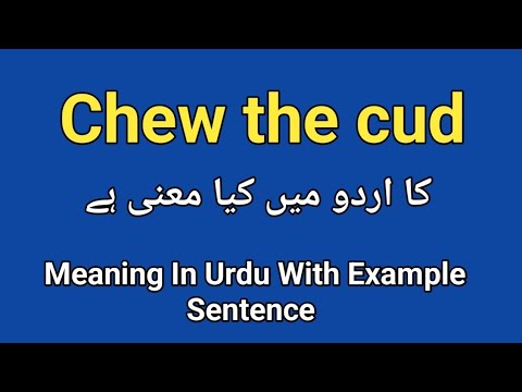 Chew the cud meaning in english |urdu |chew the cud phrase k kia matlab hai