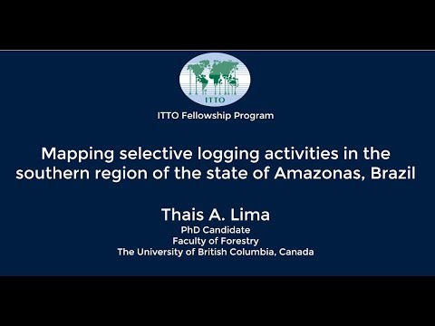 Mapping selective logging in Amazonas state, Brazil