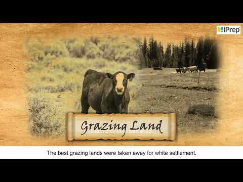 Pastoralism in Africa | Pastoralists in The Modern World | History | Class 9