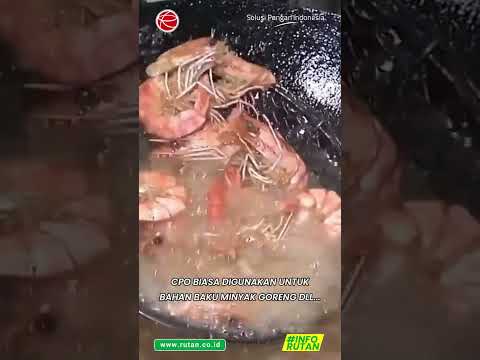 Apa itu CPO sawit.....???