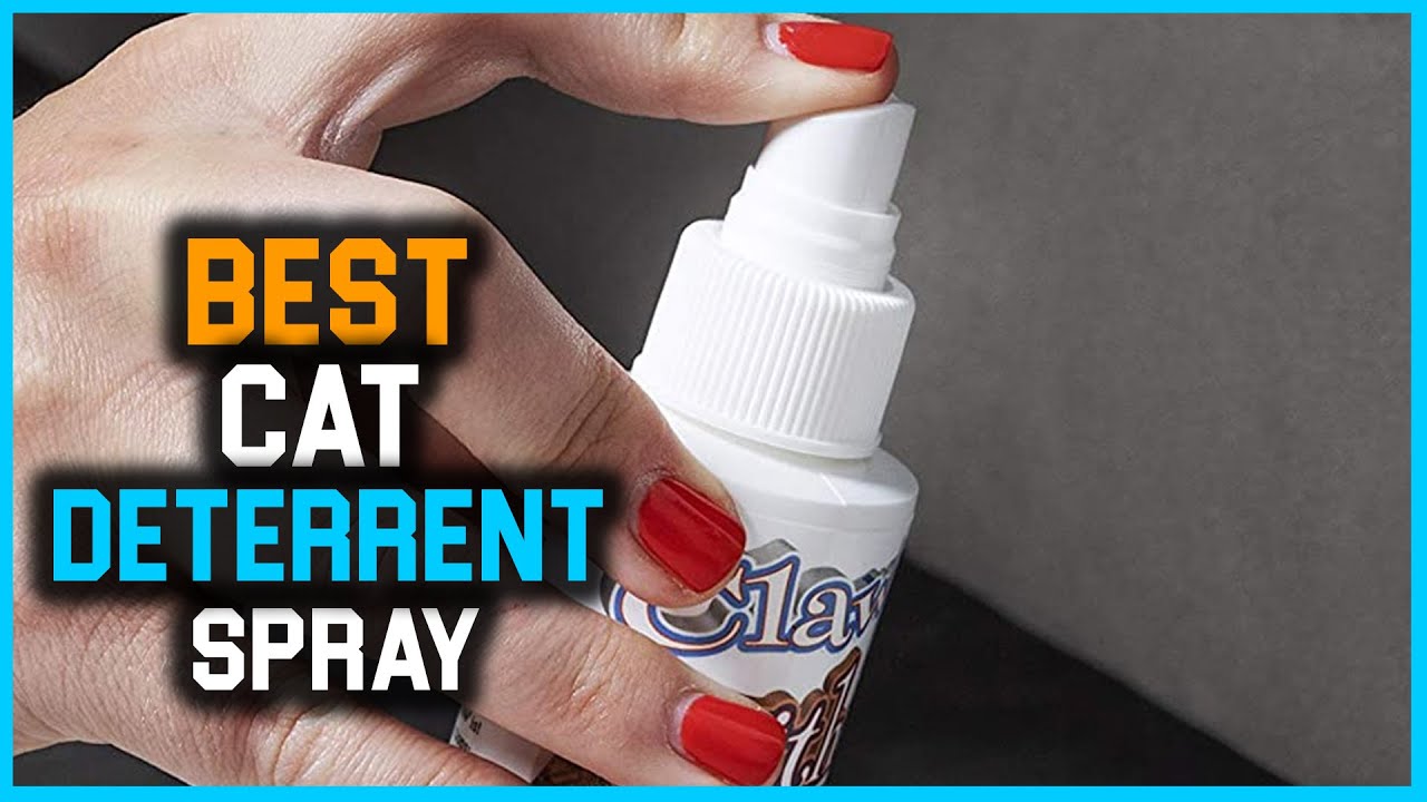 Best Cat Deterrent Spray in 2023 - Top 5 Review and Buying Guide