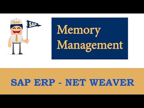 ERP SAP Basis - Net Weaver | SAP Memory Management |