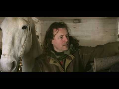 Owning a horse: What might it have been like to own a medieval horse?