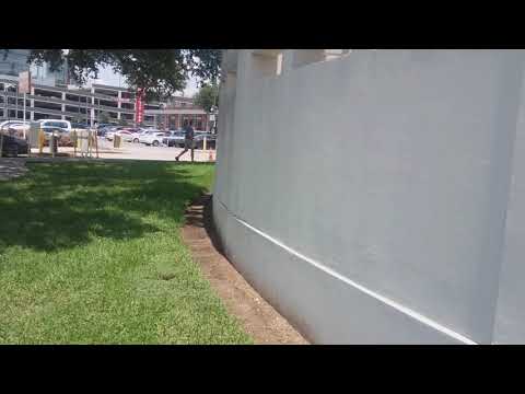 JAMES FILES GRASSY KNOLL ESCAPE ROUTE IN DEALEY PLAZA