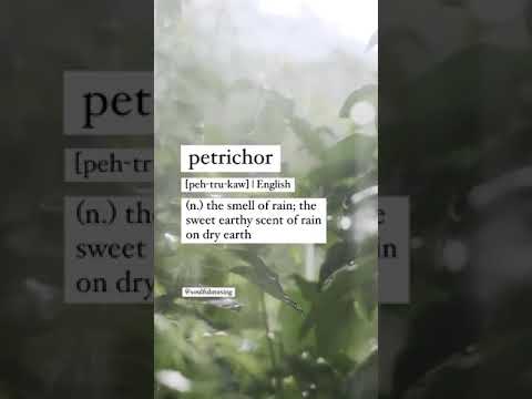 Rare words and their definitions: Petrichor [peh-tru-kaw] english