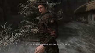 OSO Hadvar with vanilla voice - Teaser at Skyrim Special Edition Nexus ...