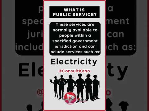 What is Public Service? Definition Of Public Service Explained | 8 Examples You Need To Know Now