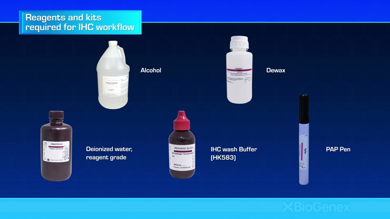 i6000™ Diagnostics – Integrated High-throughput Workflow Solution