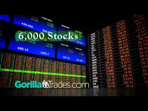 Gorilla Trades - The #1 Stocking Picking Service In The World!