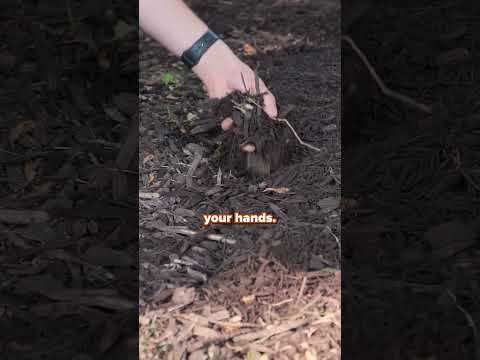 How to Avoid Bad Mulch Jobs!