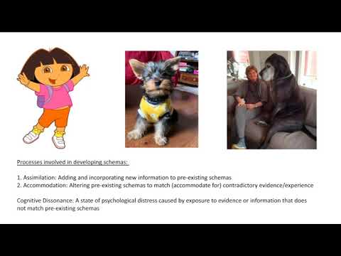 Schema Theory Lecture Part 1