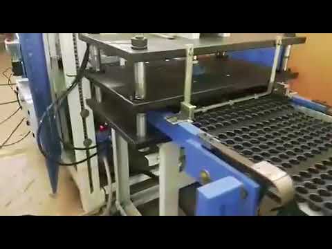 Tray Forming Machine at Best Price in India