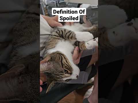 Definition of Spoiled