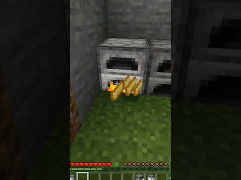 Daily Minecraft Facts #Shorts