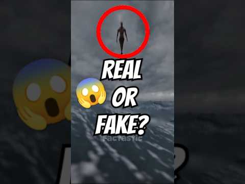 Is MERMAIDS Actually Real?๐งโโ๏ธ๐ฑ