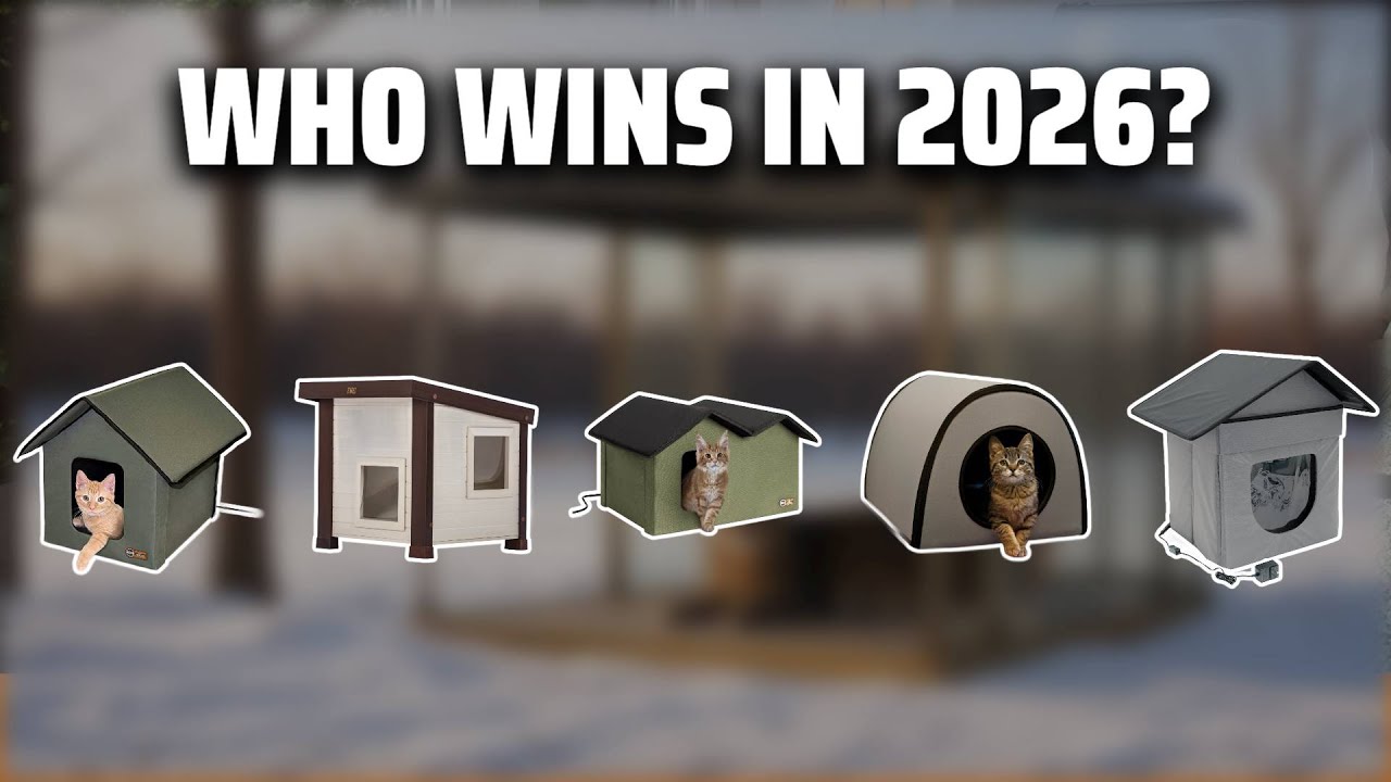 The Top 5 Best Outdoor Cat House in 2026 - Must Watch Before Buying!