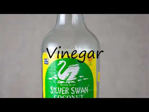 How to Pronounce Vinegar?