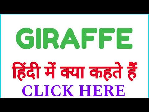 Giraffe ko hindi mein kya kahate hain | Giraffe ka matlab hindi mein | giraffe ka hindi kya hota hai