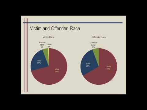 Police Planning and Problem-Solving Through Incident-Based Reporting Data