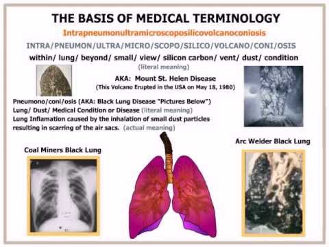 Basis of Medical Terminology