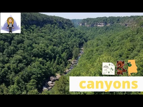 Where in Alabama is The Little River Canyon
