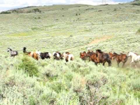 Rusty Spurr Ranch | Colorado Mountain Activities