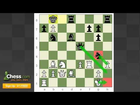 Chess News 11/17/11: Magnus Wins and Tal Memorial Update!