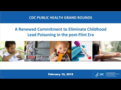 A Renewed Commitment to Prevent Childhood Lead Exposure in the post-Flint Era