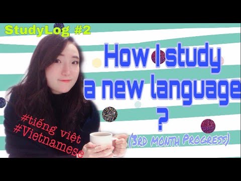 [Studylog #2] How I study a new language, Vietnamese?