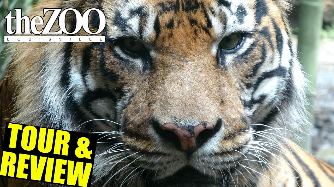 Louisville Zoo Tour & Review with The Legend