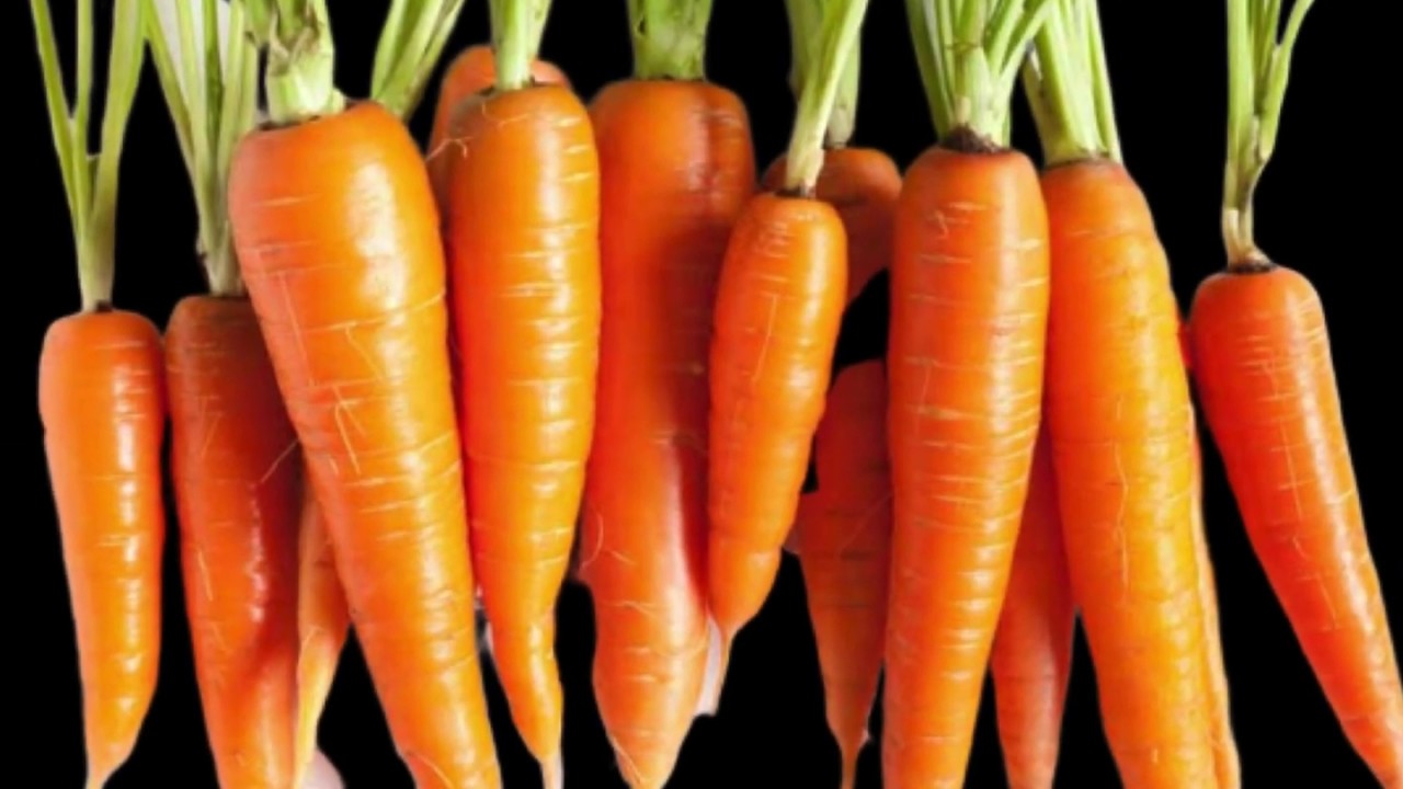 Vegetables CVI Video (from Keynote)
