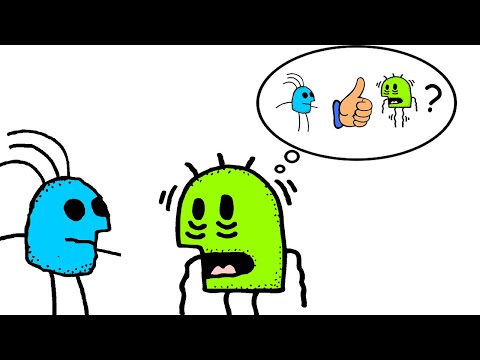 American Sign Language ASL Video Dictionary - insecure