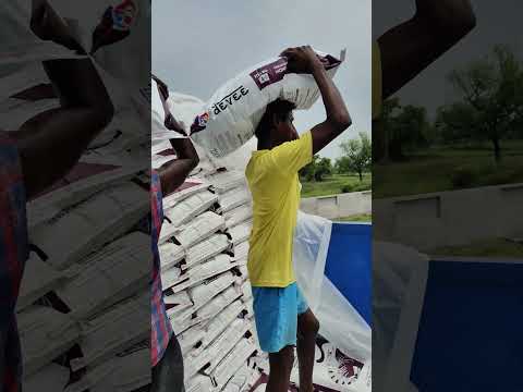 Shrimp Feed Unloading #fish #fishing