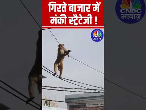 गिरते बाजार में मंकी स्ट्रैटेजी ! #BearMarket #StockMarket #MarketCrash #Investment #Trading #Sensex