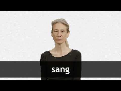 English Translation of “SANG” | Collins French-English Dictionary