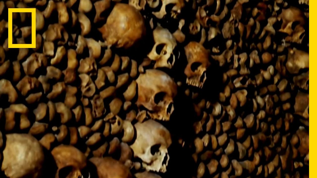 Bare Bones | National Geographic