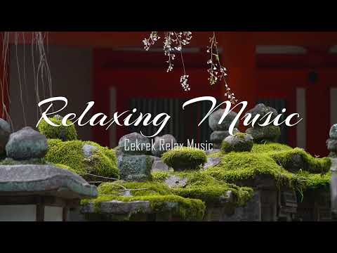 Relaxation Music, Instrumental Music #Work #Relax #Sleep April 2025 #Part 27