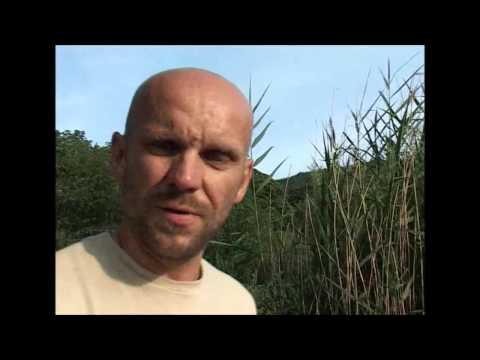 Carp Sounder Cat Sounder XRS ACC Set - 3+1 Set, 503,95