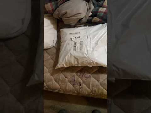 Big Yellow pillow in the mail from Walmart