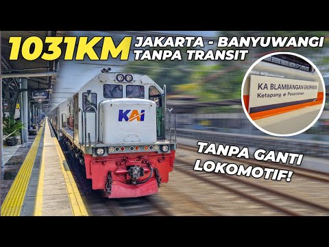 JAKARTA - BANYUWANGI TANPA TRANSIT!! REKOR KERETA TERJAUH DI INDONESIA | Trip KA Blambangan Ekspres