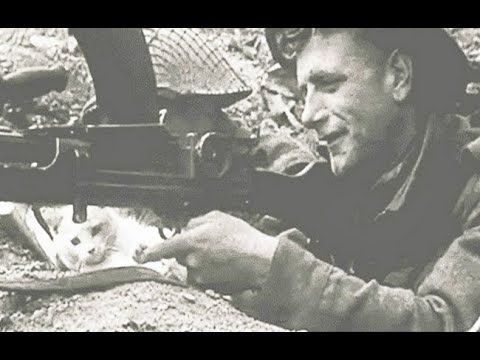 Steam Community :: Video :: British perspective- SAS ambush and defense