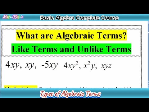 Like Terms and Unlike Terms | Types of Algebraic Terms | Algebra | MathoGuide