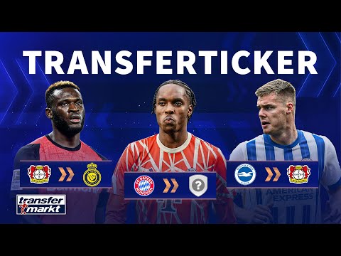 Tel will Bayern verlassen / Boniface vor Wechsel nach Saudi-Arabien / Leverkusen an Ferguson dran?
