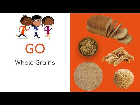 Part 1: Go, Grow, & Glow Foods (GO)