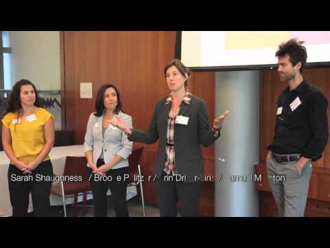 DPSI - Overview
