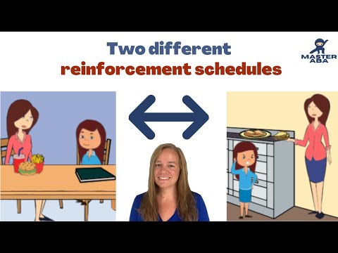 Concurrent Schedules of Reinforcement Example