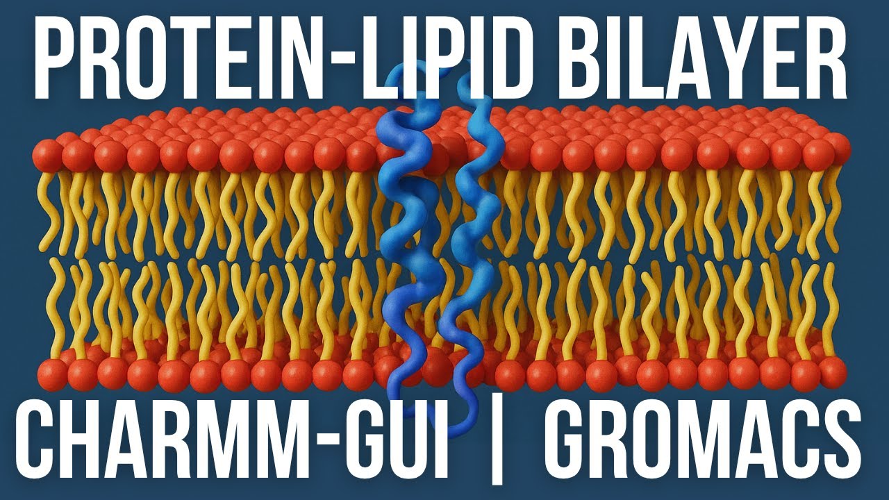 Protein-Membrane Simulation Setup | CHARMM-GUI to GROMACS Molecular Dynamics Tutorial