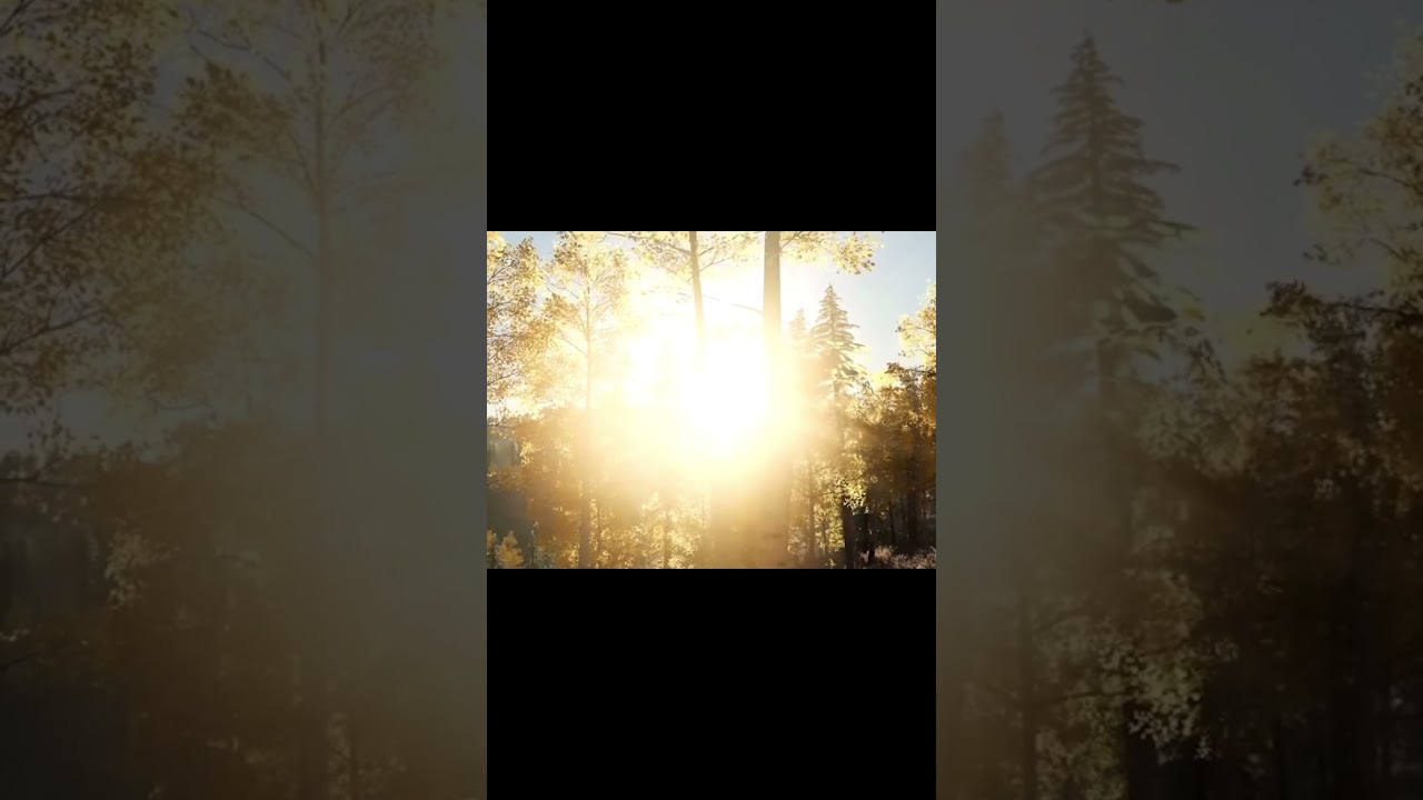 This is a scroll break, close your eyes and listen #asmr #soundtherapy #wellnessjourney