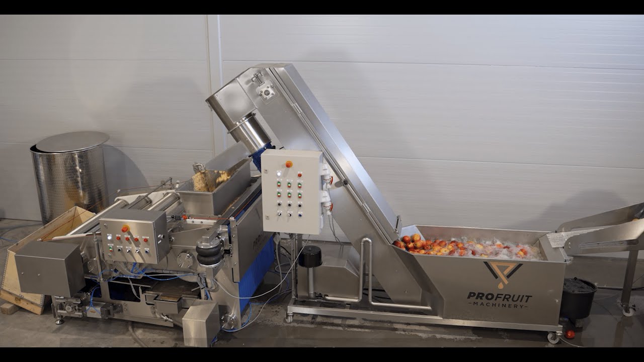 3000 kg/h Fruit Processing Line | High-capacity Premium Juice Production | ProFruit Machinery